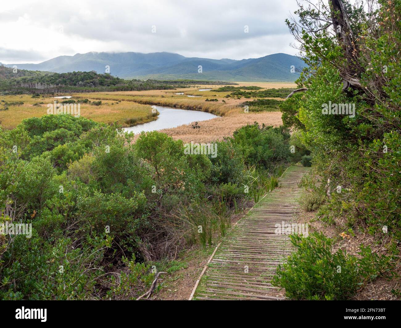 Views to Darby River along the Tongue Point Walking Track, Wilsons ...