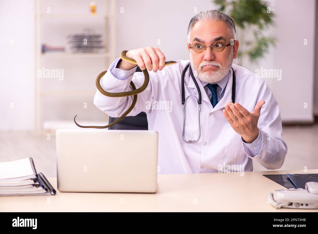 Snakebite treatment hi-res stock photography and images - Alamy