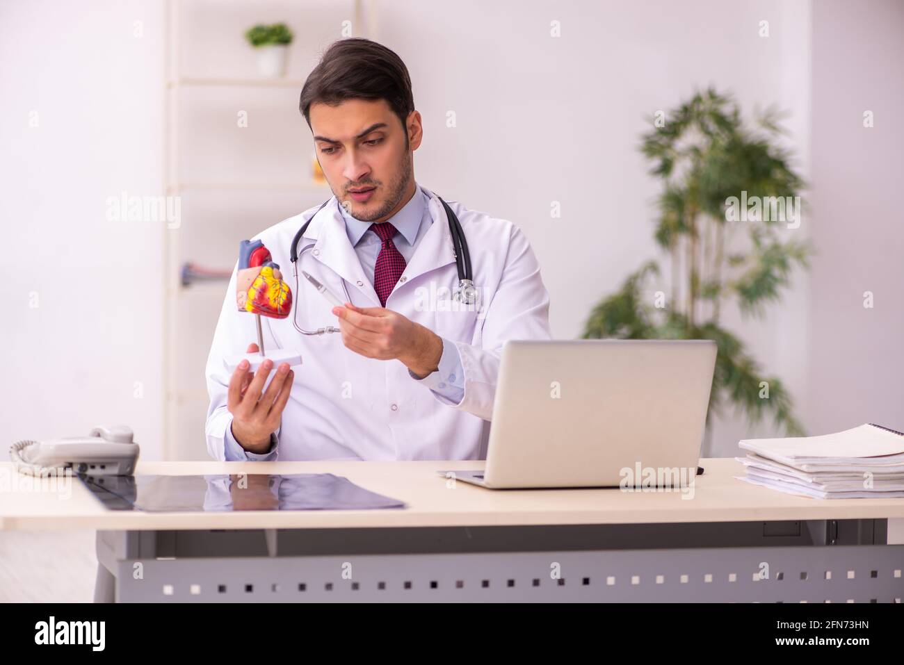 Young male doctor cardiologist working at the hospital Stock Photo - Alamy
