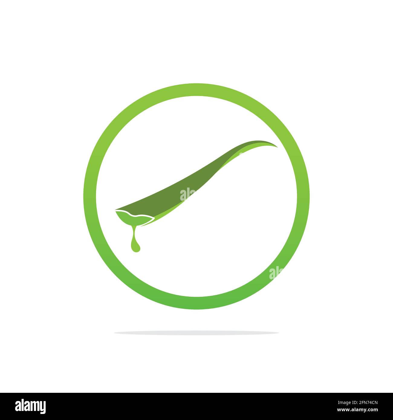 Aloe Vera logo template. Green leaf aloe vera label Stock Vector Image ...