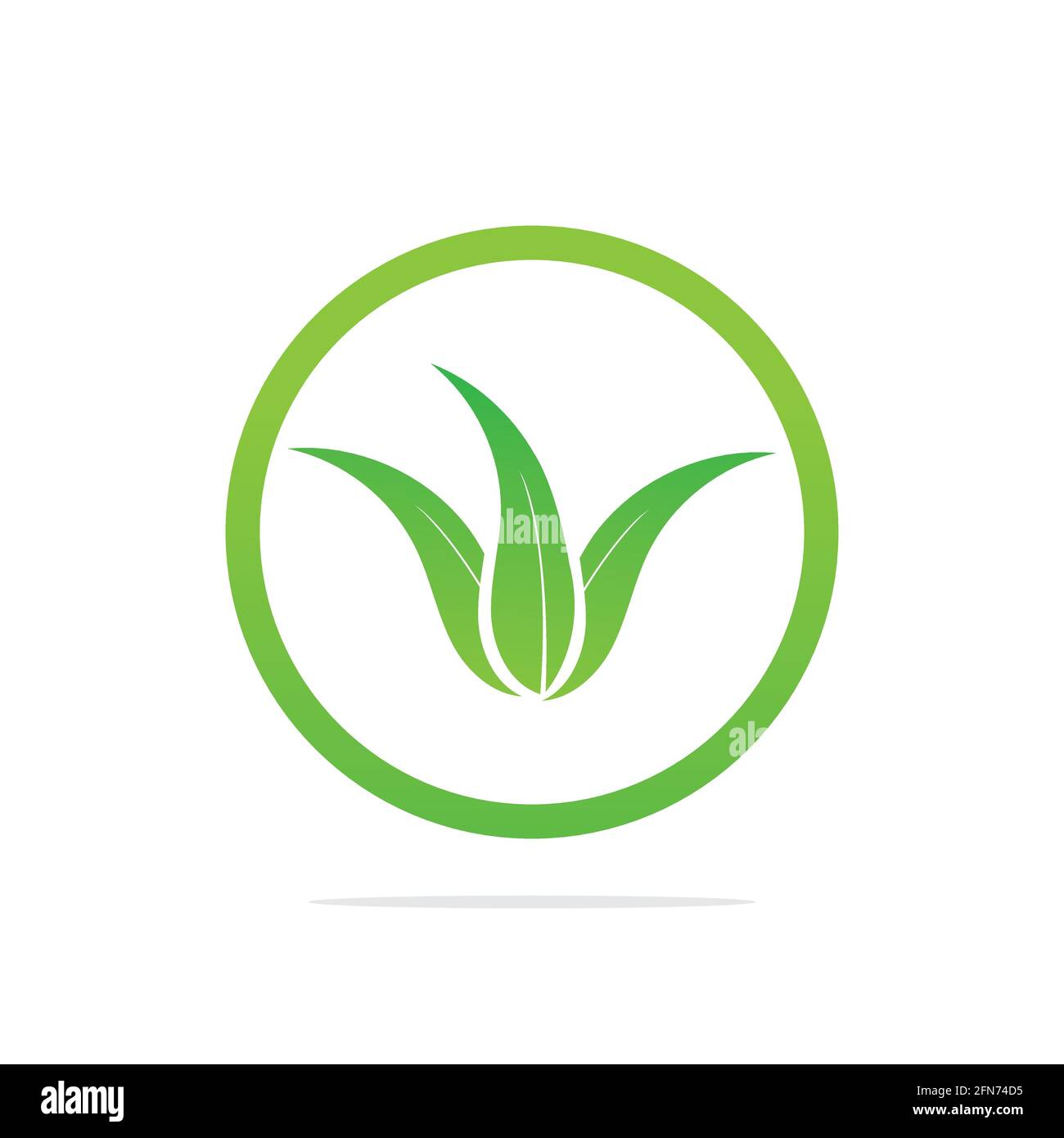 Aloe Vera logo template. Green leaf aloe vera label Stock Vector Image ...