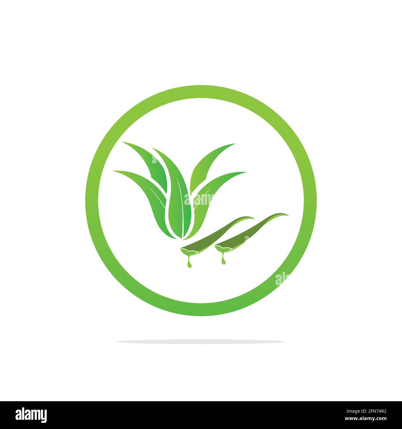 Aloe Vera logo template. Green leaf aloe vera label Stock Vector Image ...