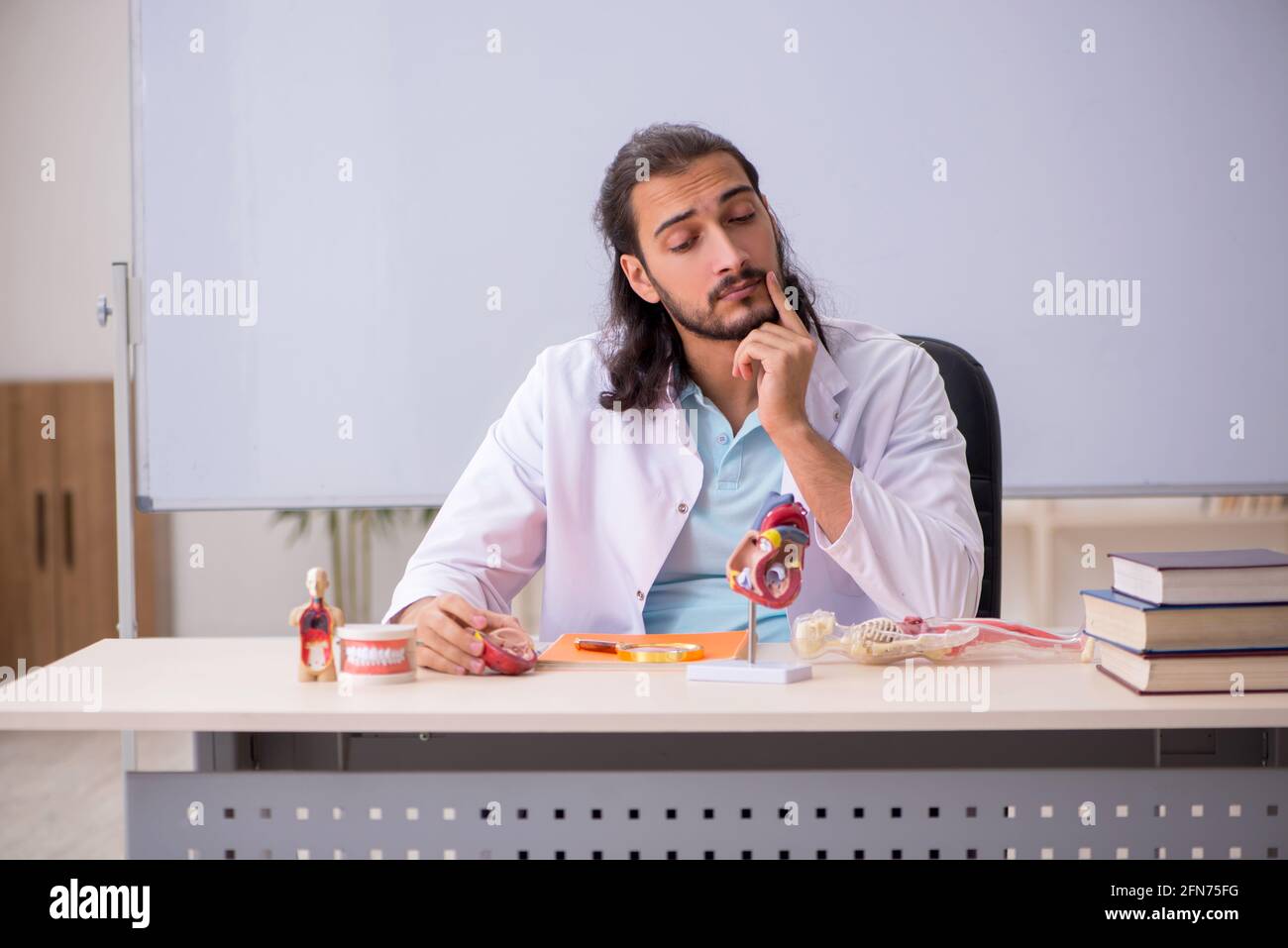 Young student studying human anatomy Stock Photo - Alamy