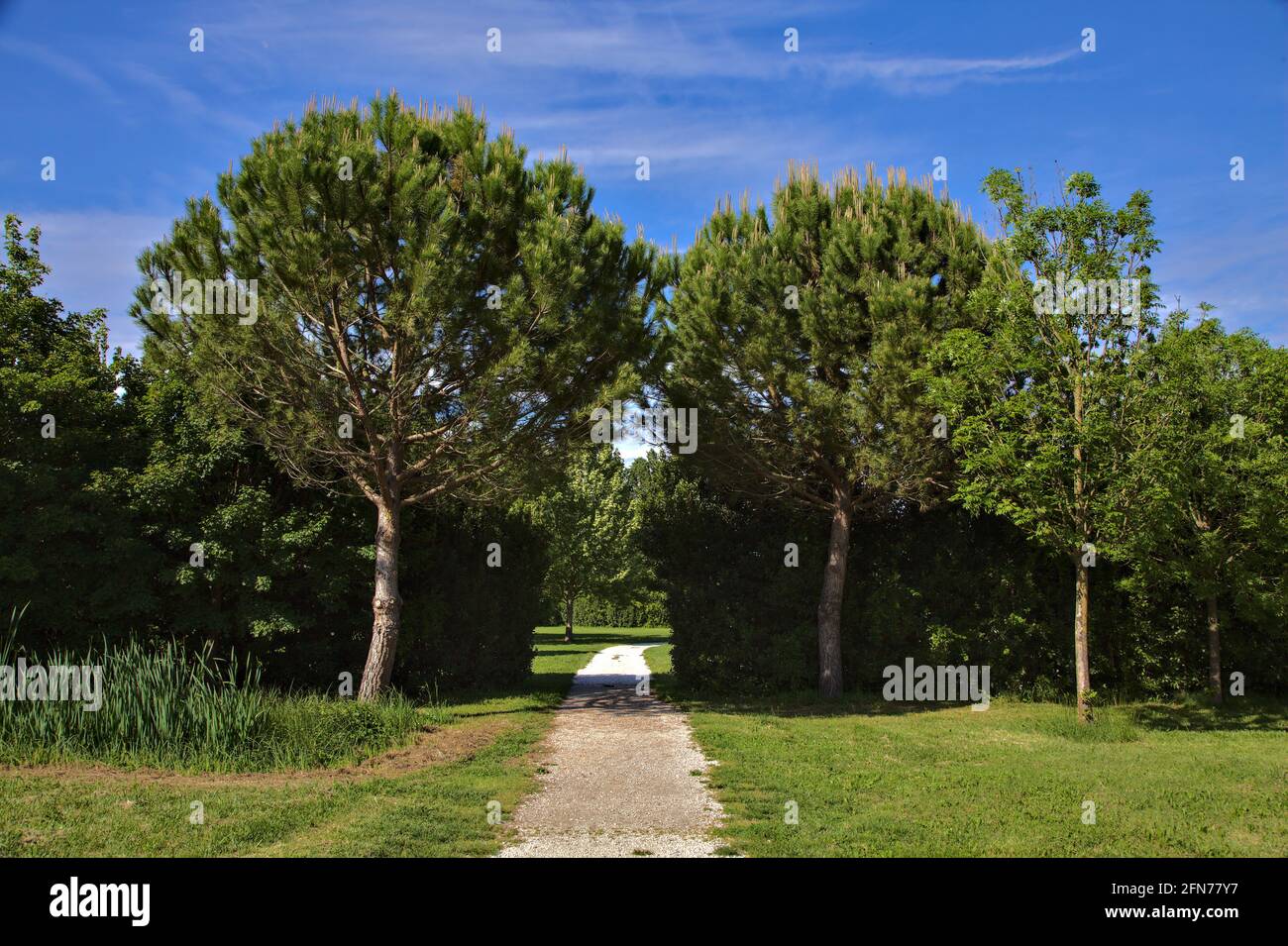 Italian wonder hi-res stock photography and images - Alamy