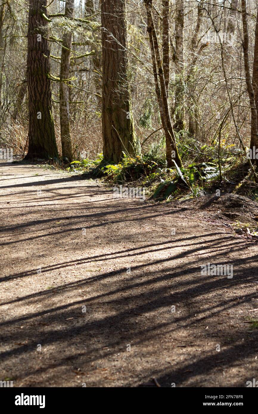 Bright outdoor scenery hi-res stock photography and images - Alamy