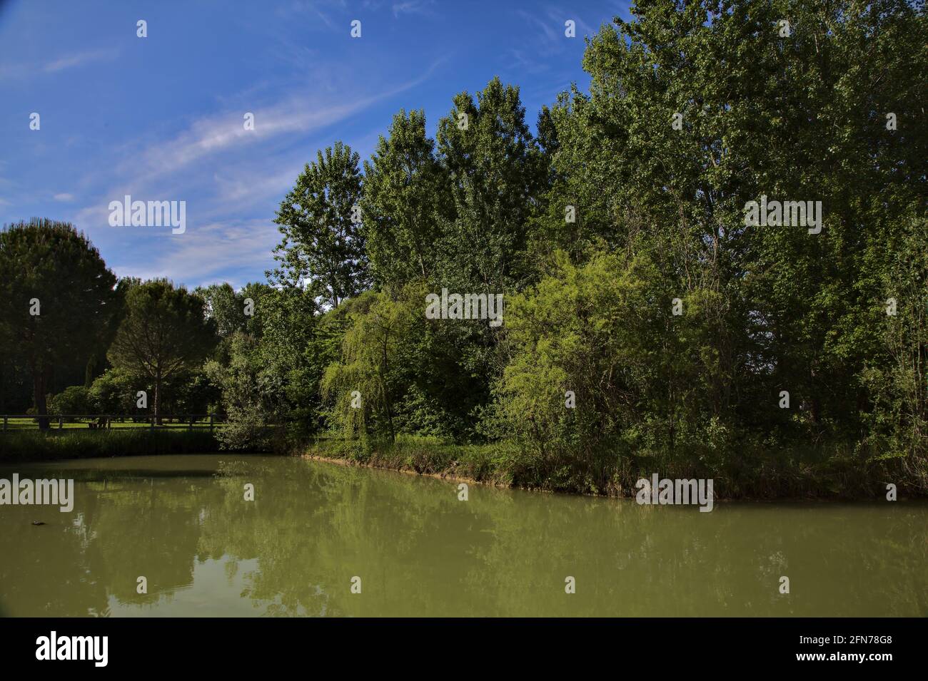 Pond in a park in the italian countryside Stock Photo - Alamy