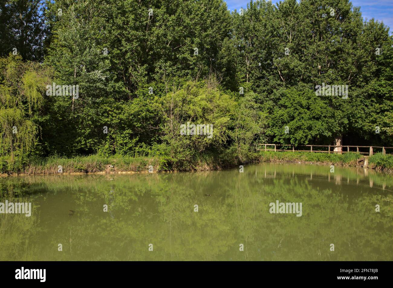Pond in a park in the italian countryside Stock Photo - Alamy