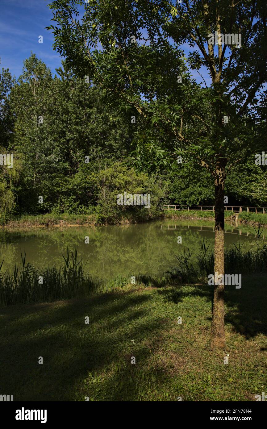 Countryside stillness hi-res stock photography and images - Alamy