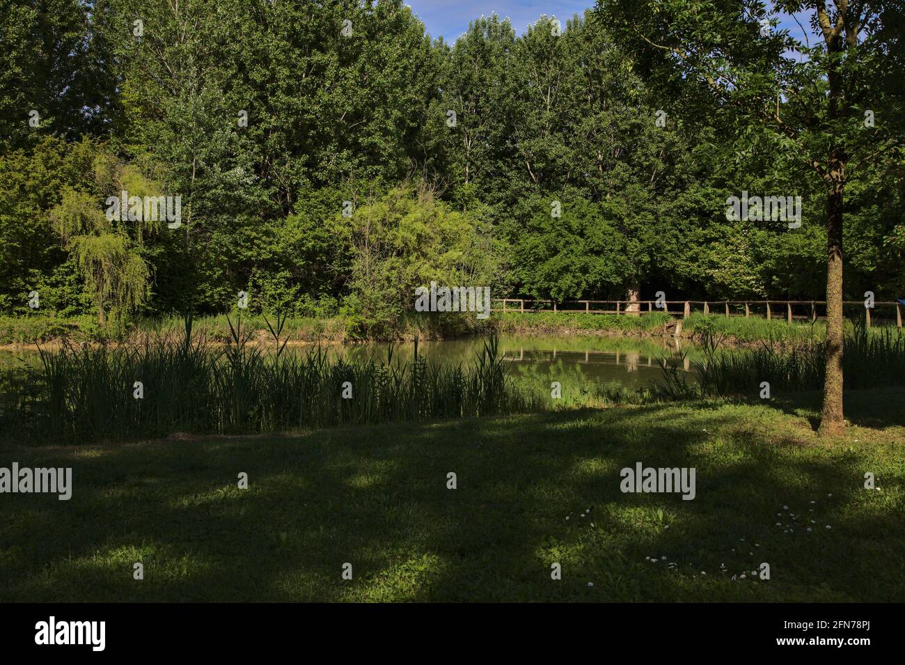 Pond in a park in the italian countryside Stock Photo - Alamy