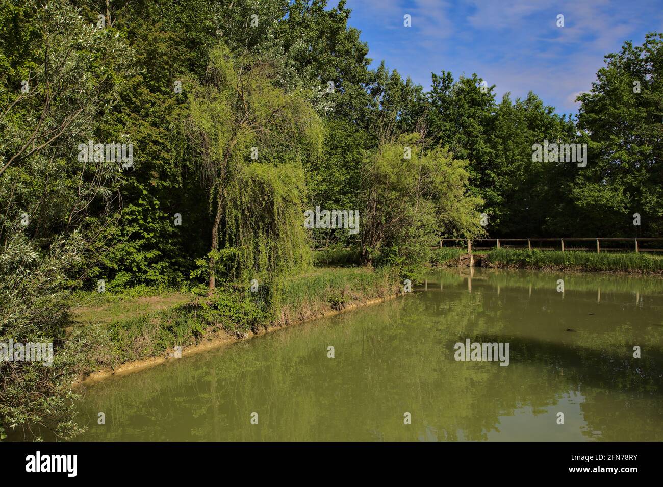 Countryside stillness hi-res stock photography and images - Alamy