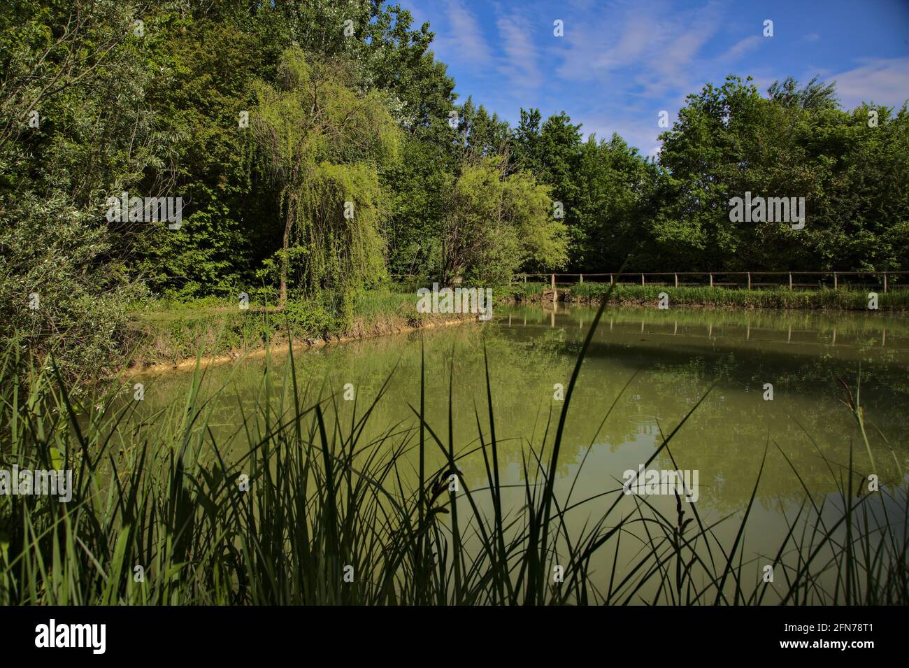 Countryside stillness hi-res stock photography and images - Alamy