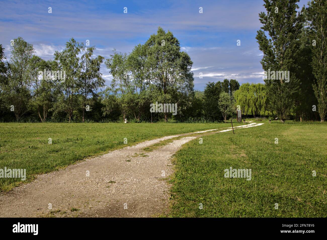 Gravel path in a park in the italian countryside Stock Photo - Alamy