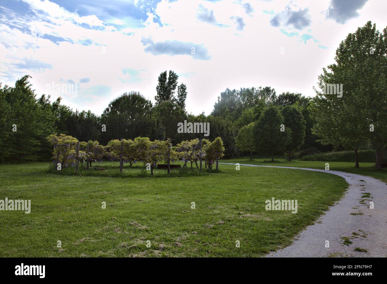 Gravel path in a park in the italian countryside Stock Photo - Alamy