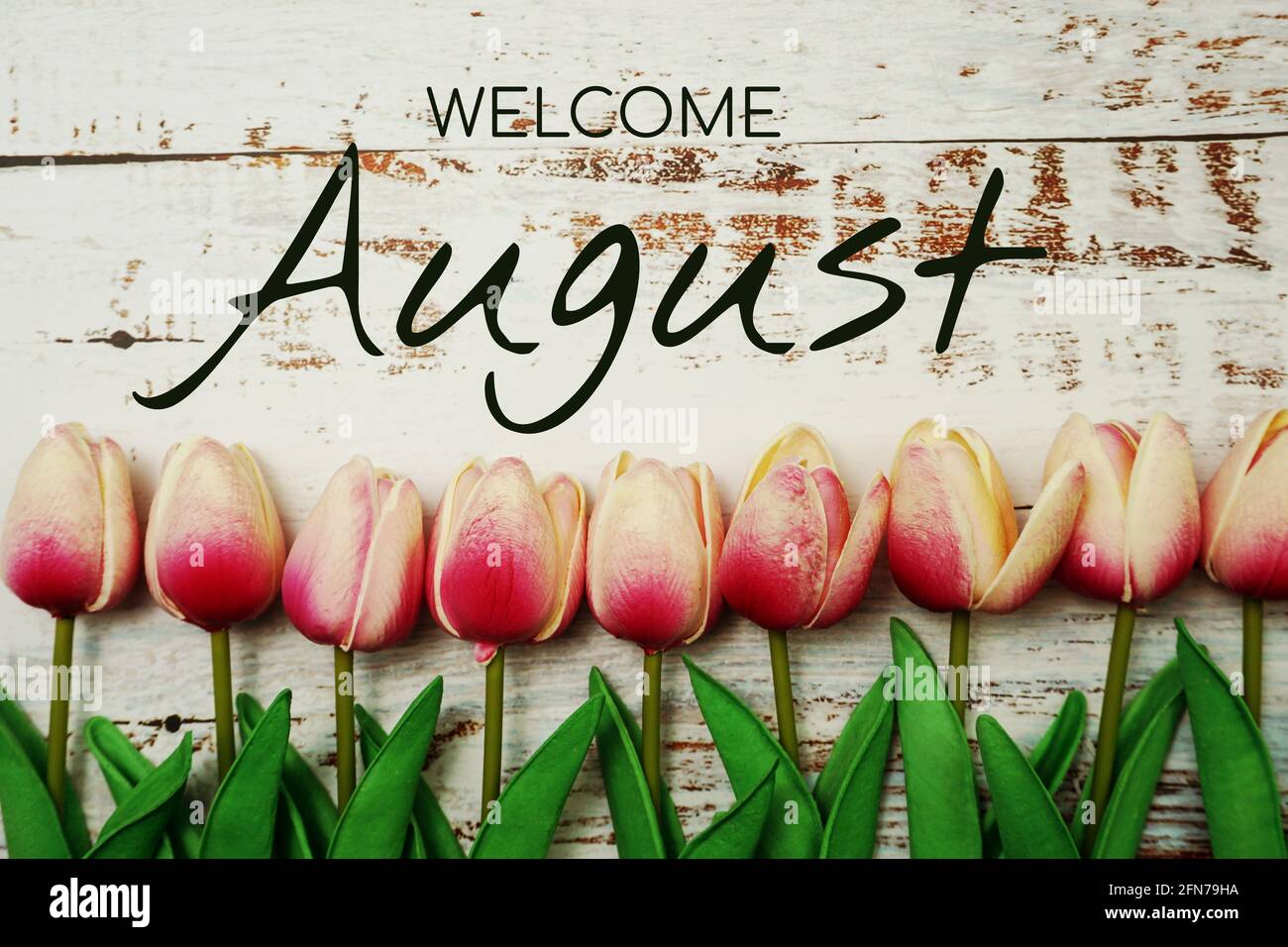Welcome August text and tulip flower decoration on wooden background ...