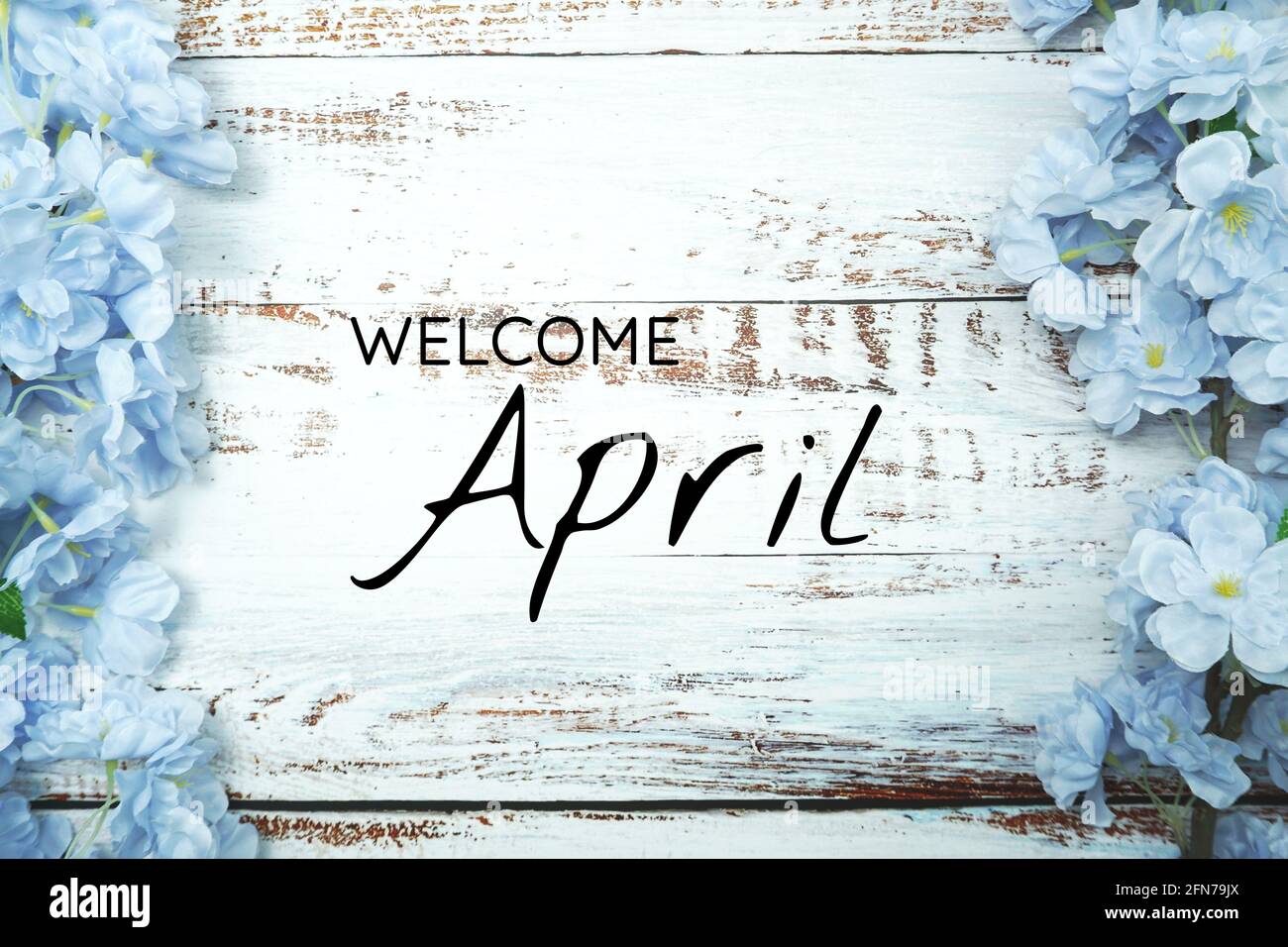 Welcome April text and blue flower decoration on wooden background ...