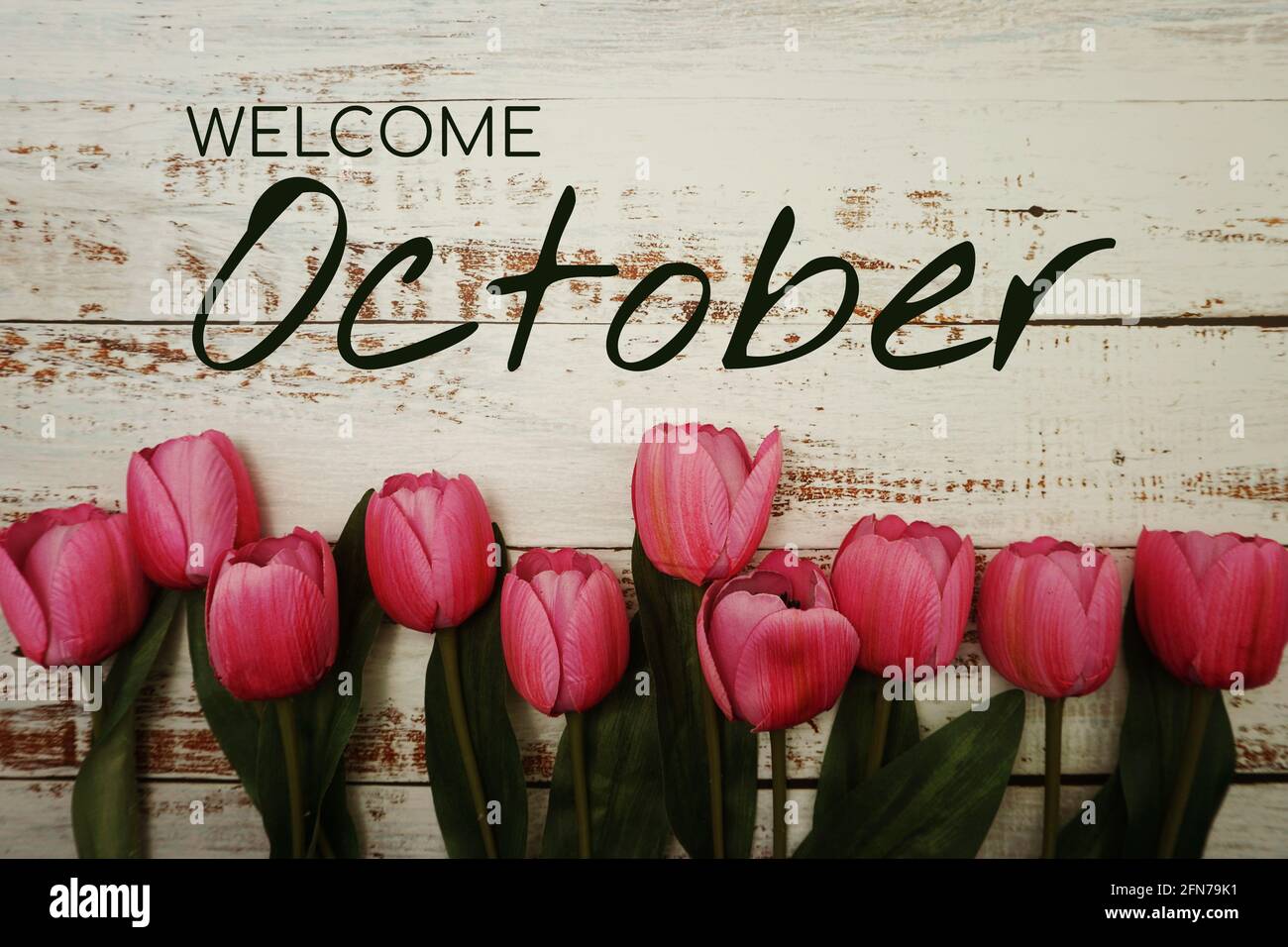 Welcome october text message hi-res stock photography and images - Alamy