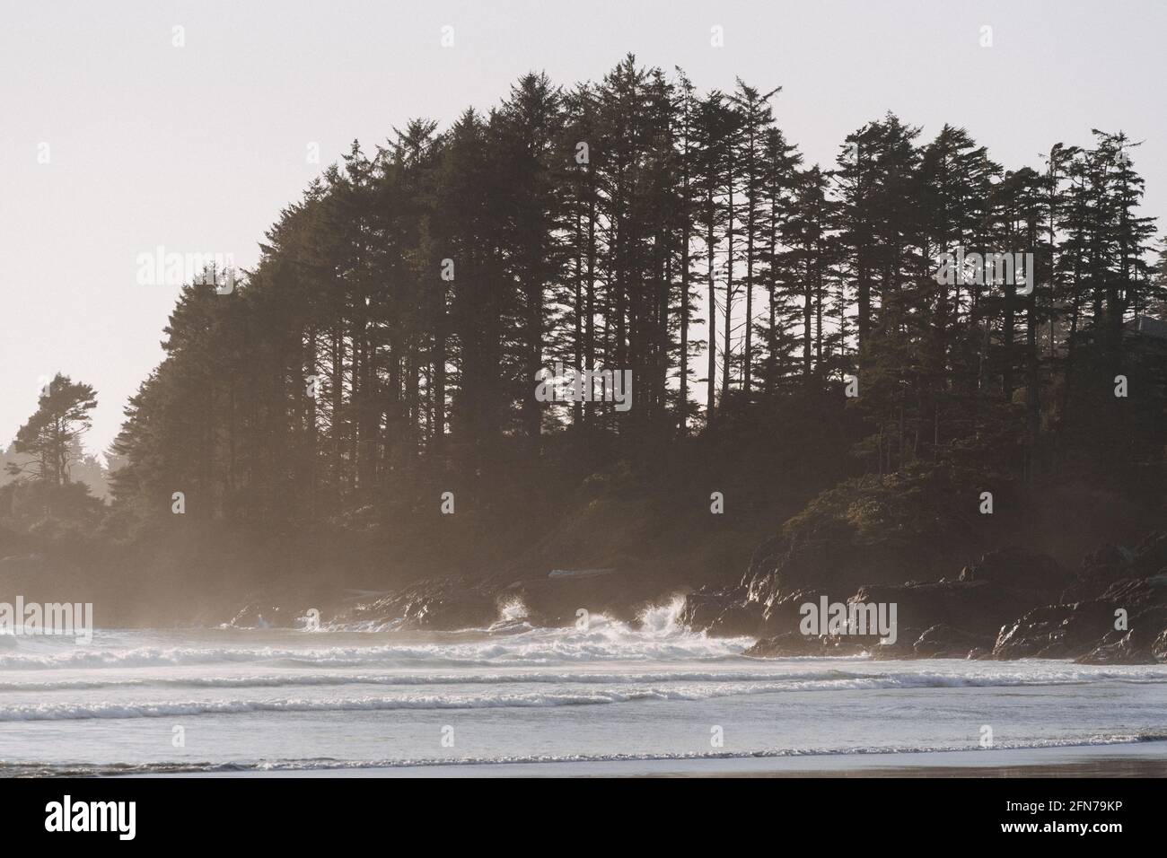 Beautiful scenery of a Pacific Rim National Park Reserve in Bamfield ...