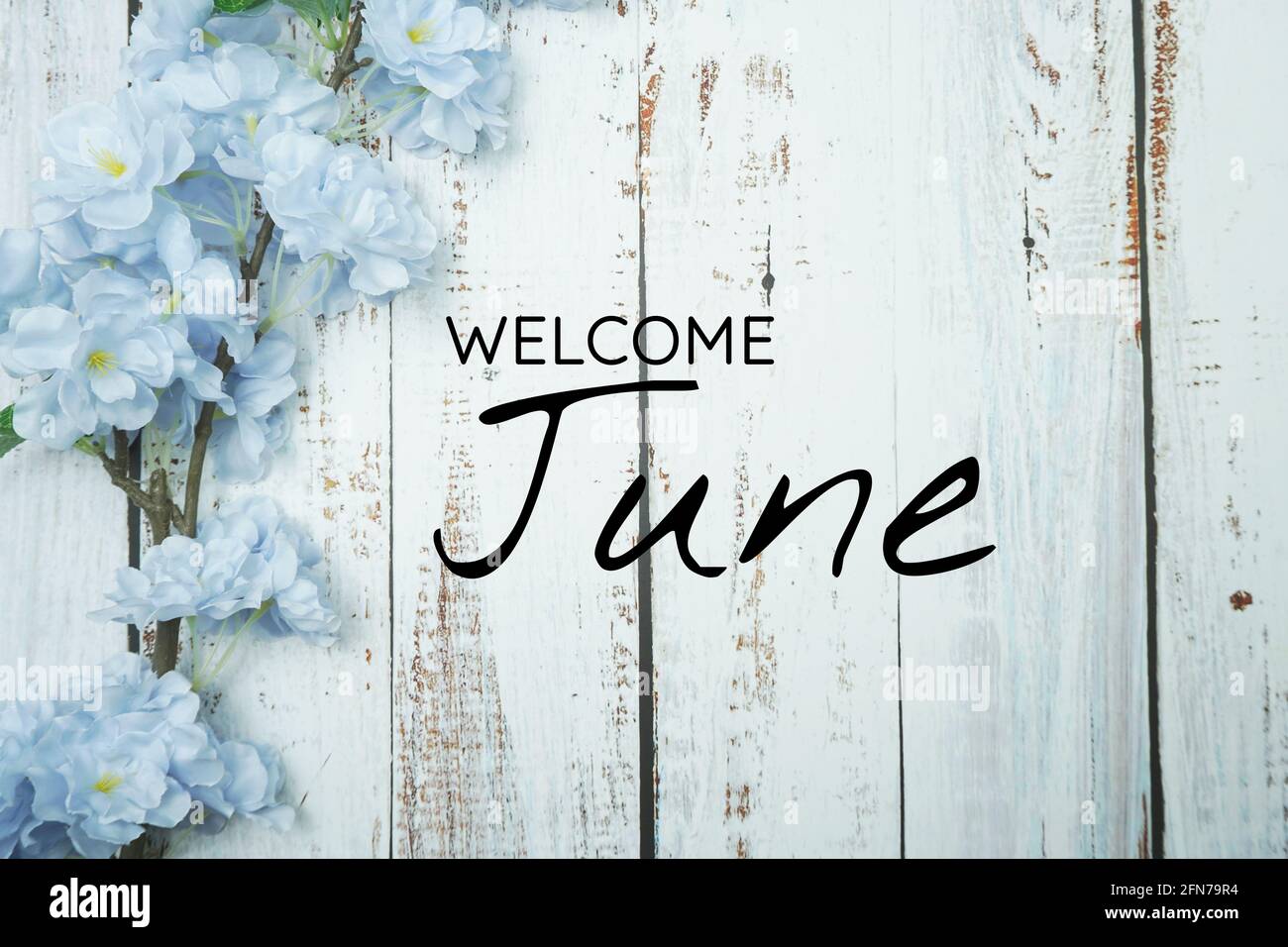 Welcome June text and blue flower decoration on wooden background Stock ...