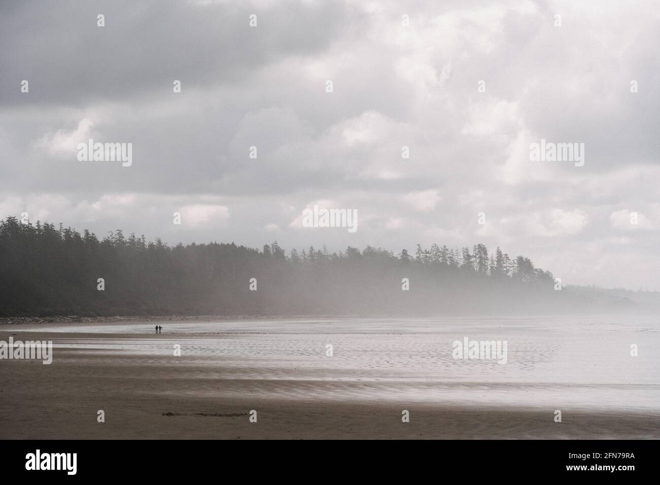 Beautiful scenery of a Pacific Rim National Park Reserve in Bamfield ...