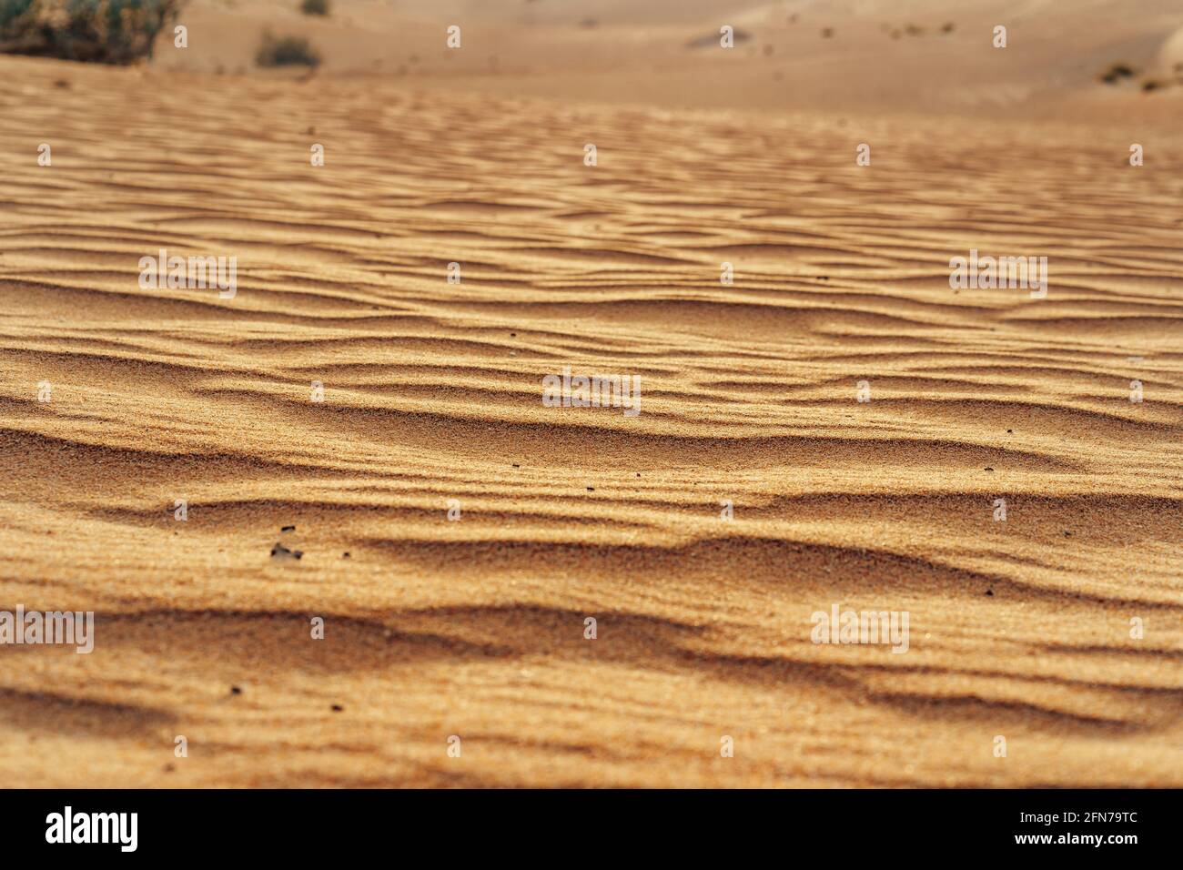 Wavy sand texture in Dubai desert close up Stock Photo - Alamy
