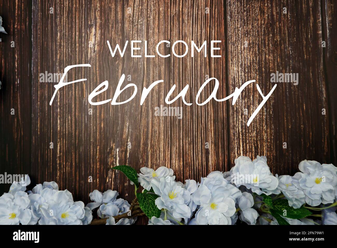 Welcome February text and blue flower decoration on wooden background ...