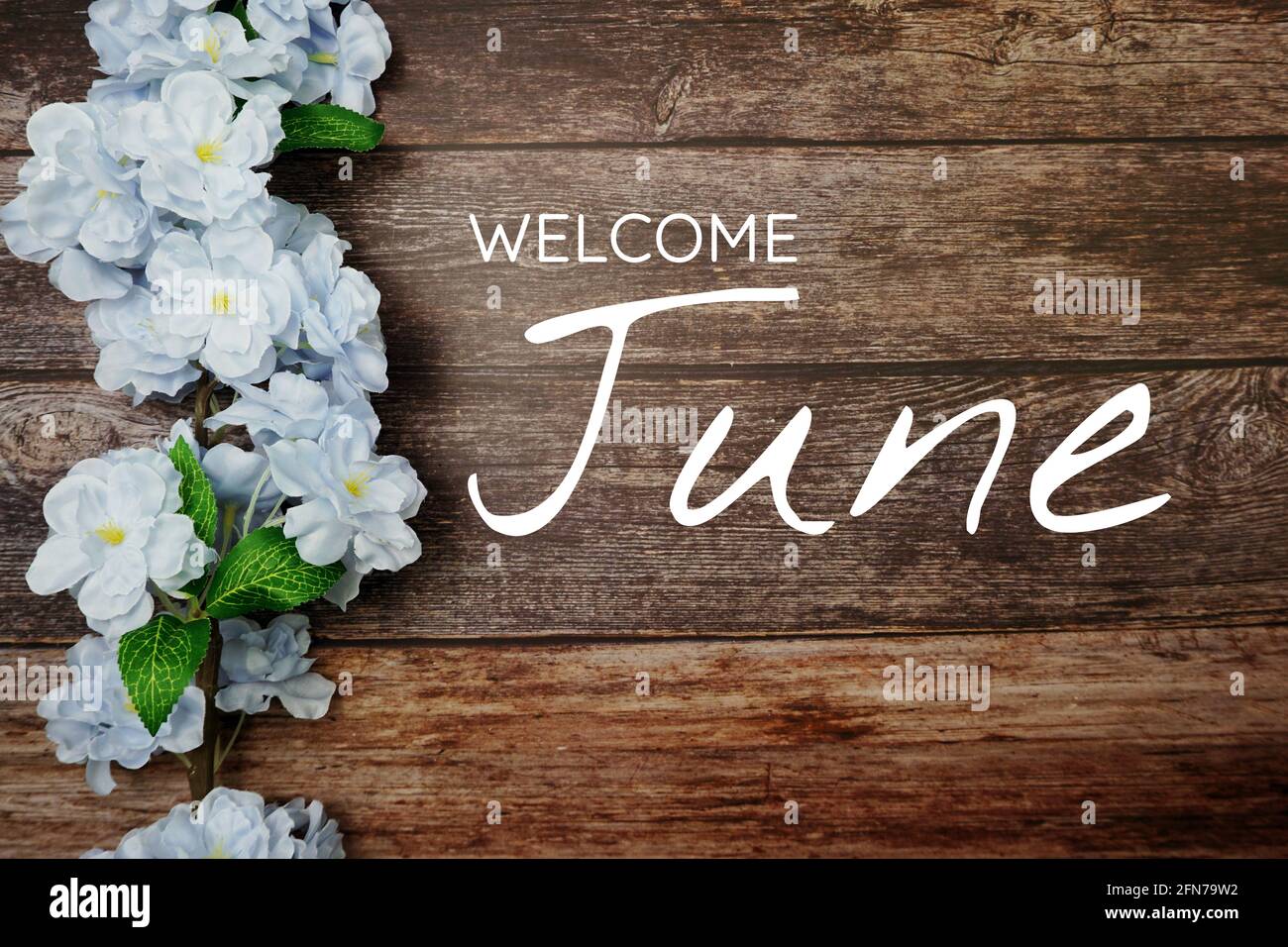 Welcome June text and blue flower decoration on wooden background Stock ...