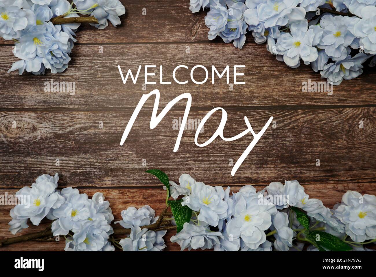 Welcome May text and blue flower decoration on wooden background Stock ...