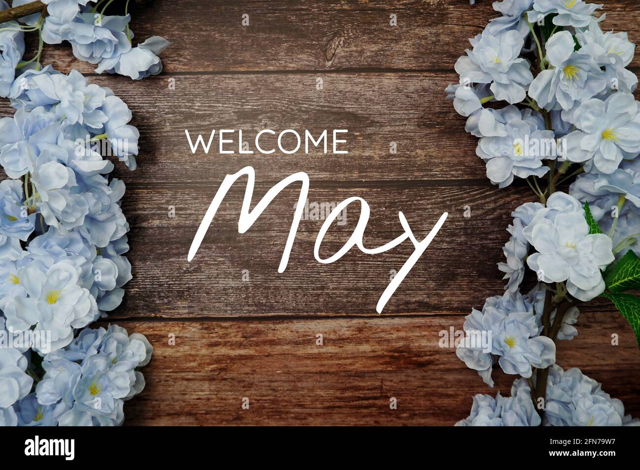 Welcome June text and blue flower decoration on wooden background Stock ...