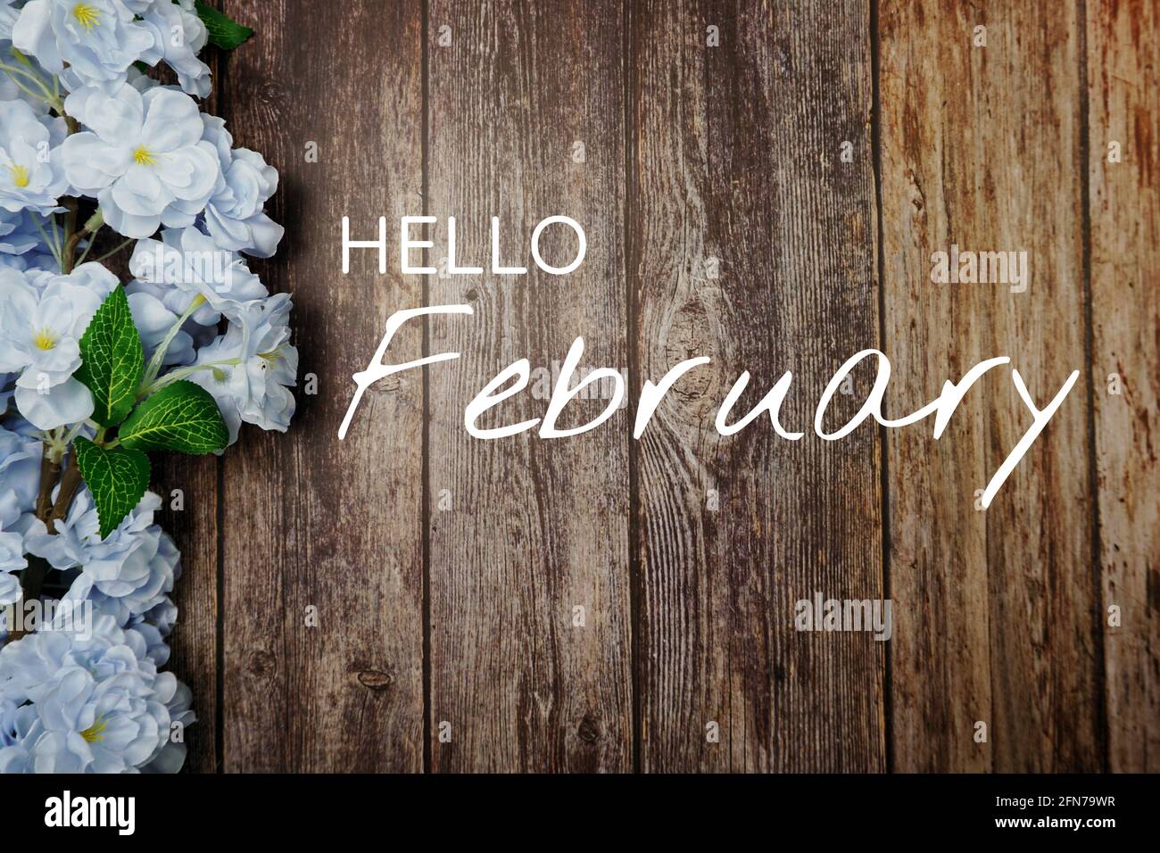 Flower banner hi hi-res stock photography and images - Alamy