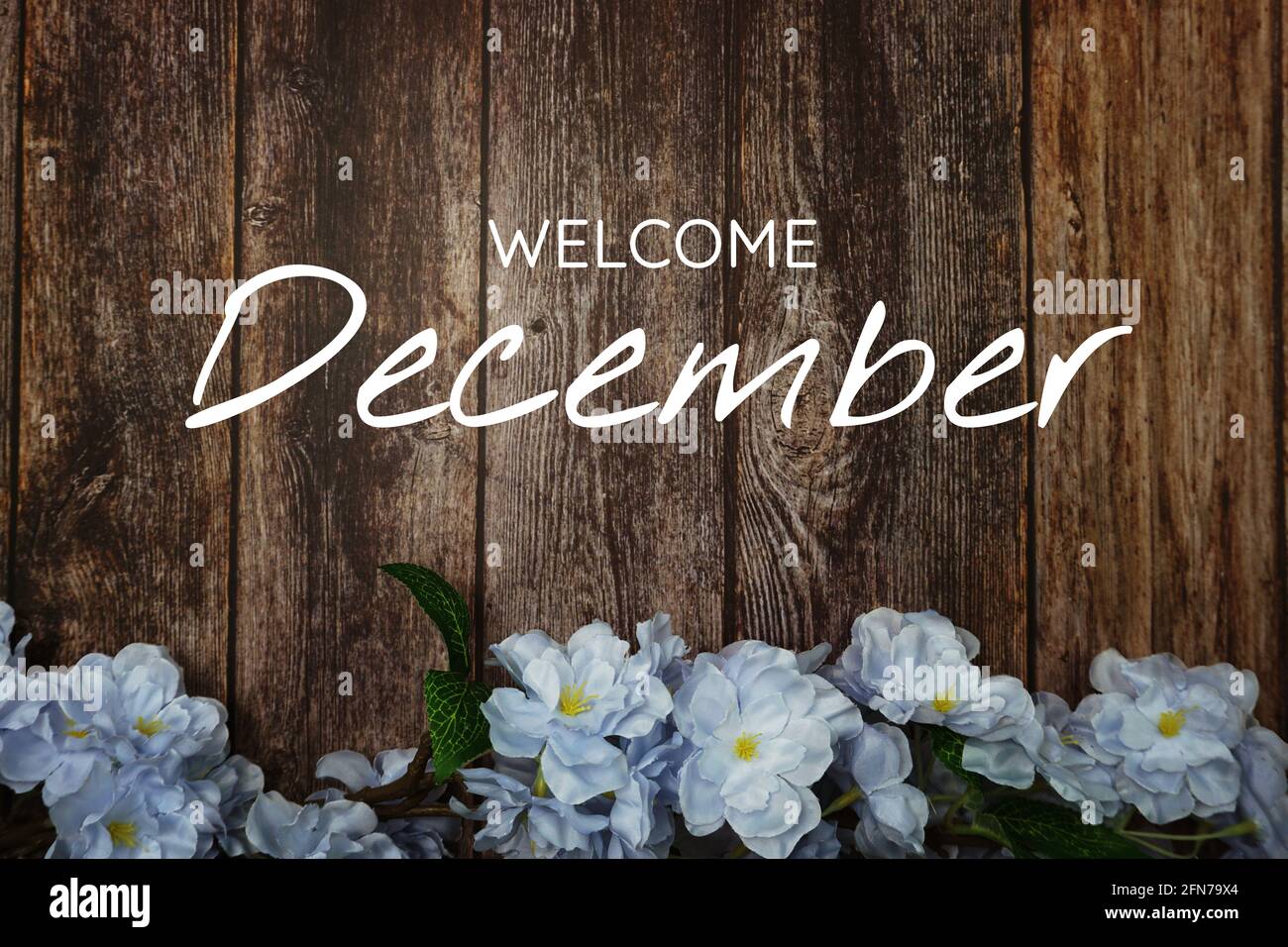 Welcome December text and blue flower decoration Stock Photo - Alamy