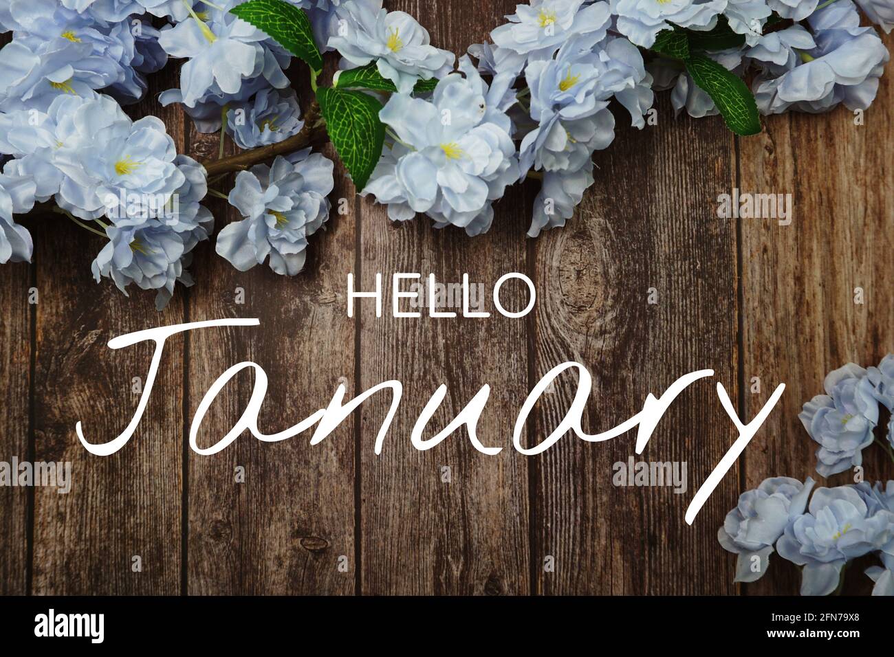 Welcome January text and blue flower decoration on Stock Photo - Alamy