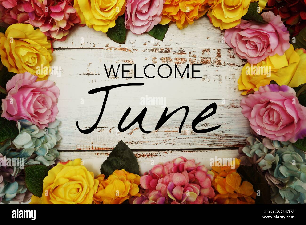 Vector flowers border frame card background hi-res stock photography ...