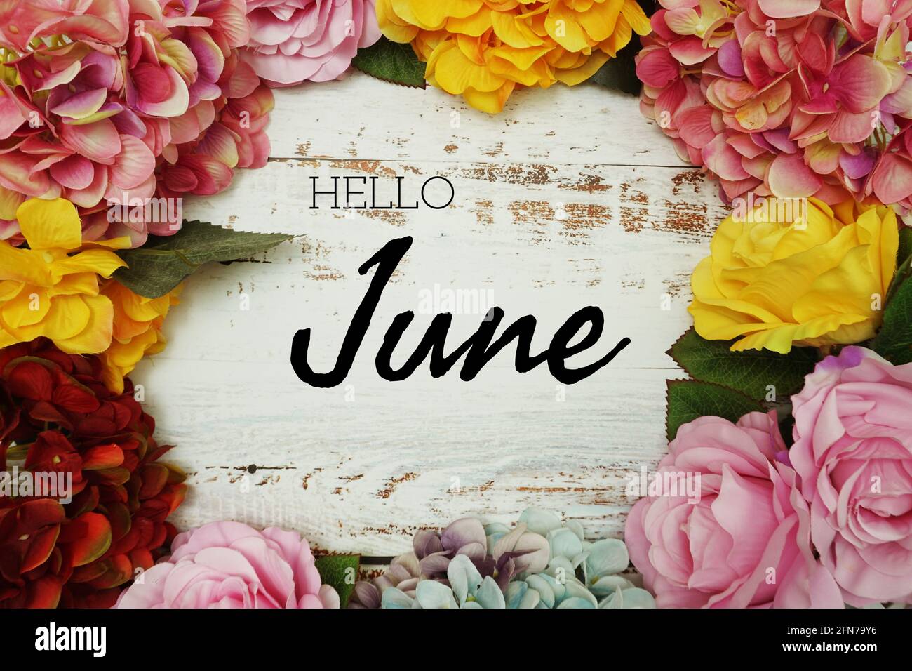 Hello June text message with flowers border decoration on wooden ...