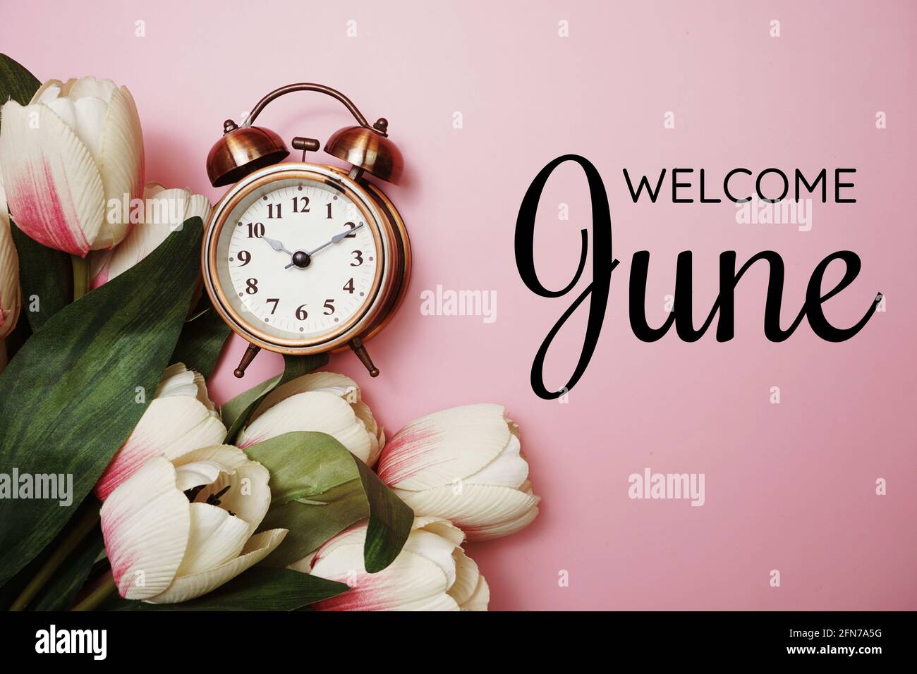 Welcome June text with alarm clock and tulip flower decoration on pink ...