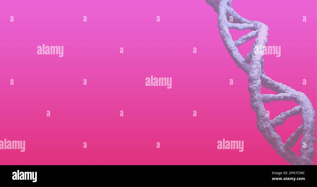 Composition of pink 3d dna strand with copy space on pink background ...