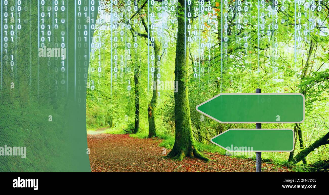 Coding environment hi-res stock photography and images - Alamy