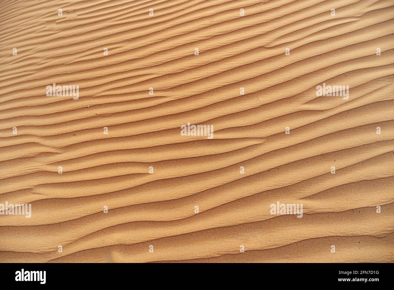 Wavy sand texture in Dubai desert close up Stock Photo - Alamy