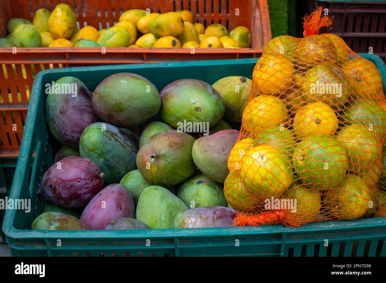 Mango and Orange Displayed on Plastic Containers for Sale Stock Photo ...