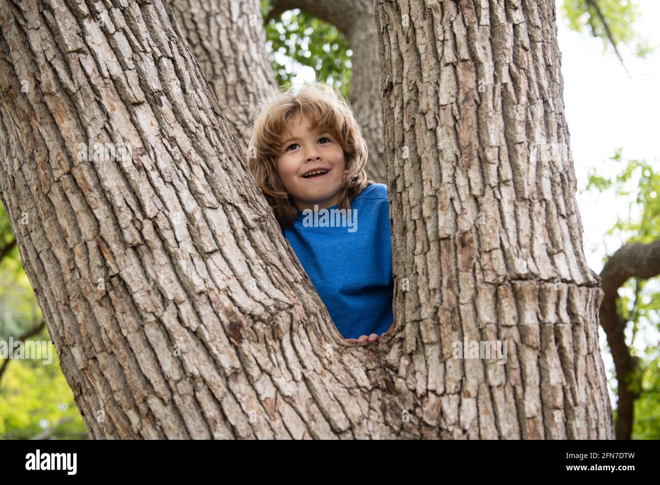 Portrait of cute kid boy sitting on the big old tree on summer day ...