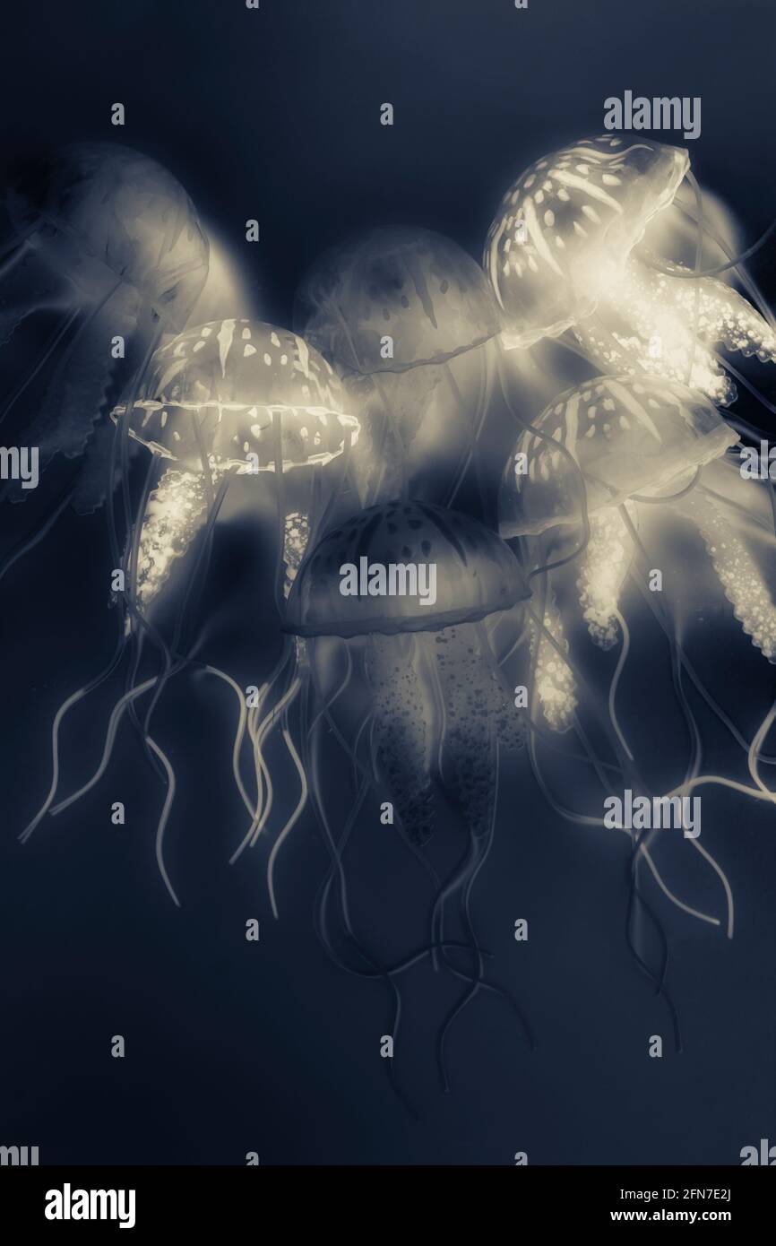 Deep Sea Creatures High Resolution Stock Photography and Images - Alamy