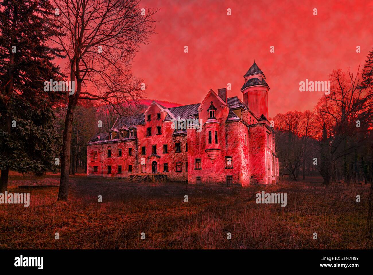 Horror setup hi-res stock photography and images - Alamy