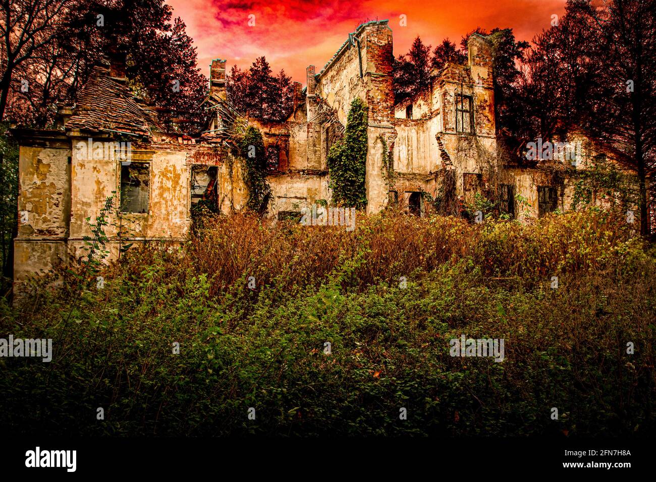 Horror setup hi-res stock photography and images - Alamy