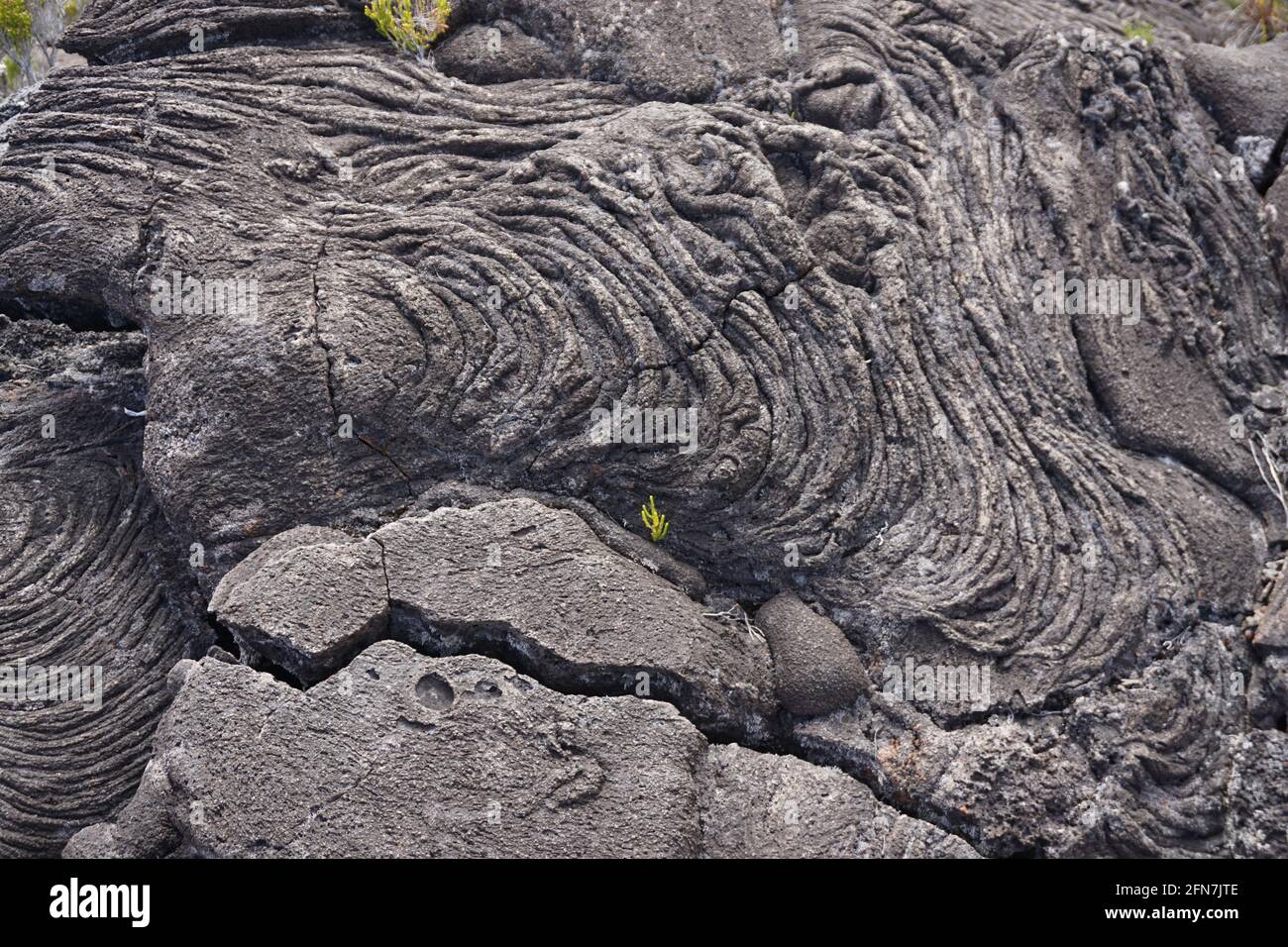 Lava Volcano Plant High Resolution Stock Photography and Images - Alamy