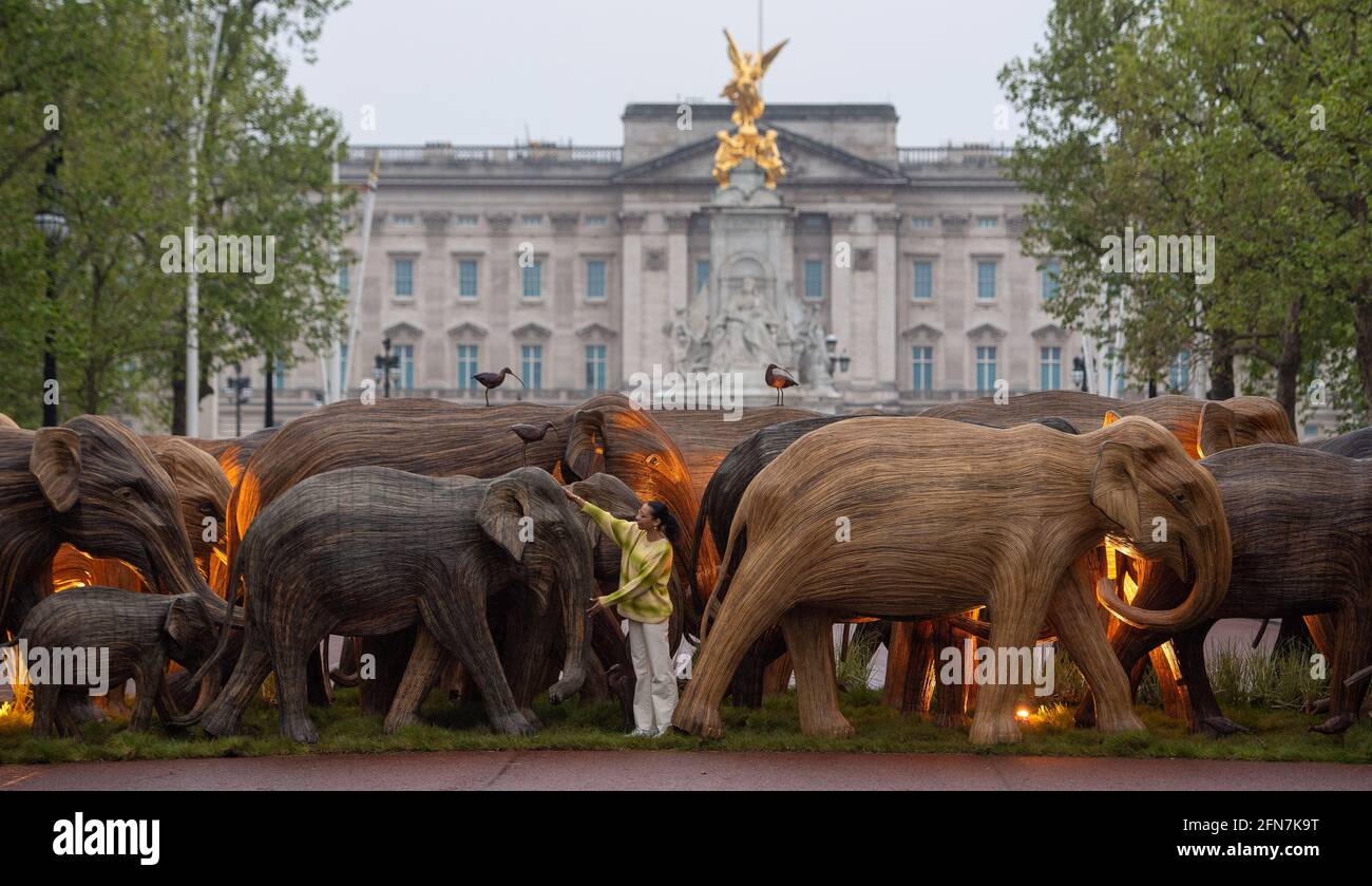 Human encroachment hi-res stock photography and images - Alamy