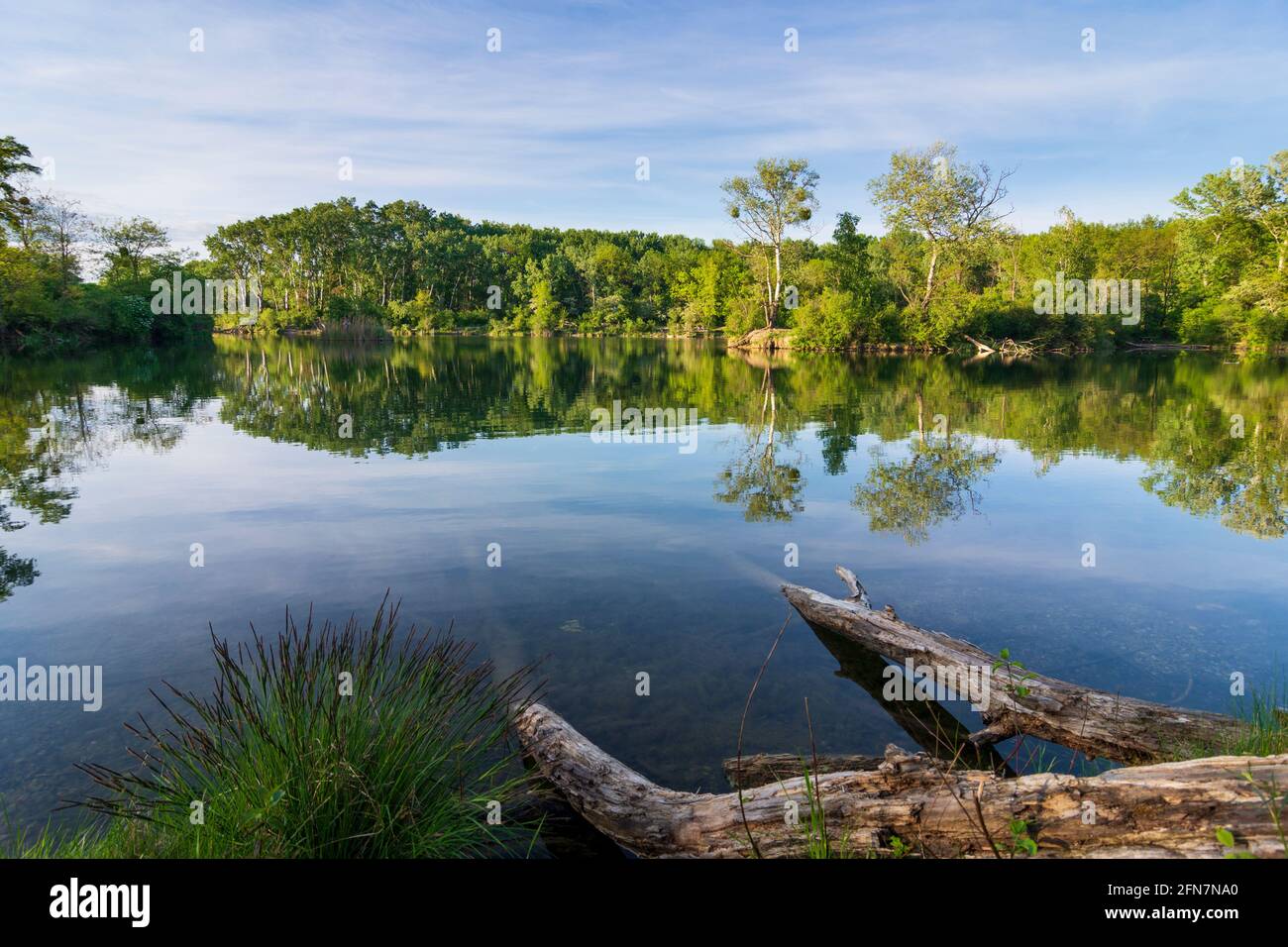 Wien, Vienna: lake Dechantlacke in floodplain Lobau, part of ...