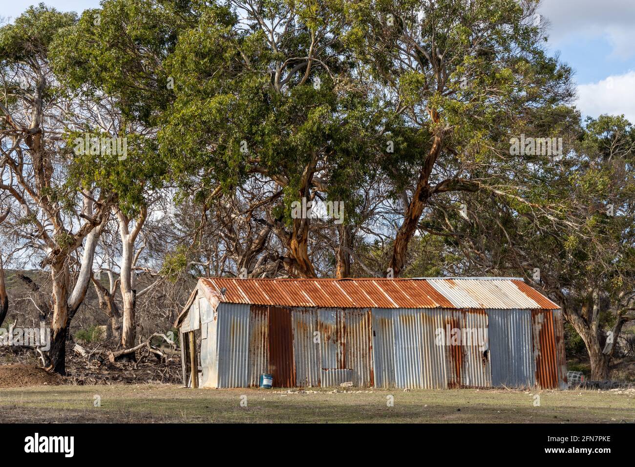 Rusted tim shed with beautiful trees in the background on Kangaroo ...