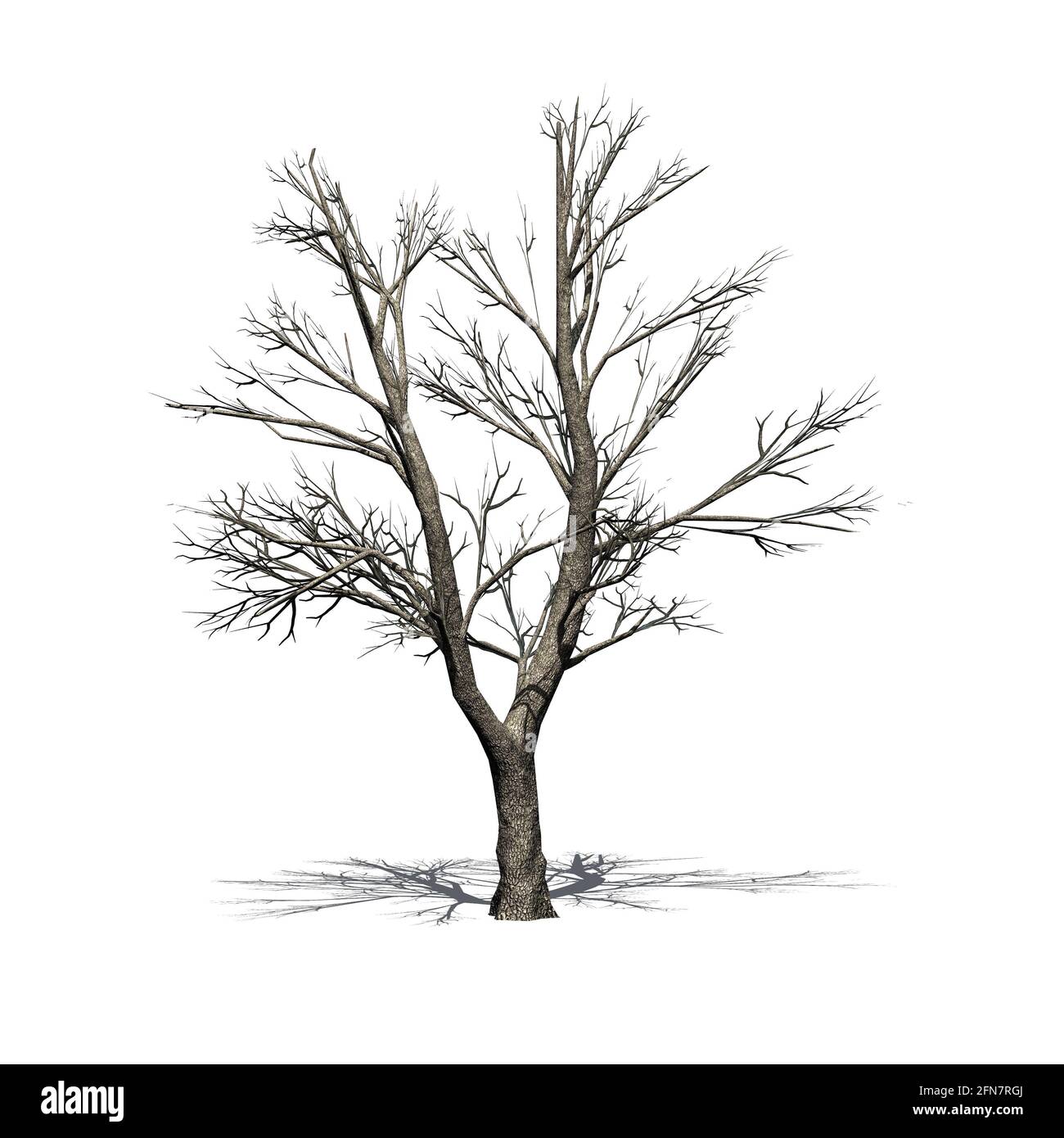 Dead Tree Drawing Green