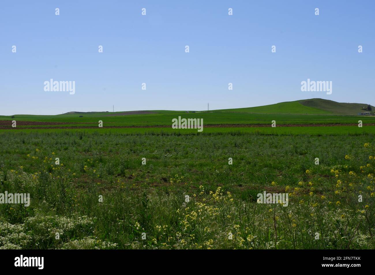 Clear plantation land hi-res stock photography and images - Alamy