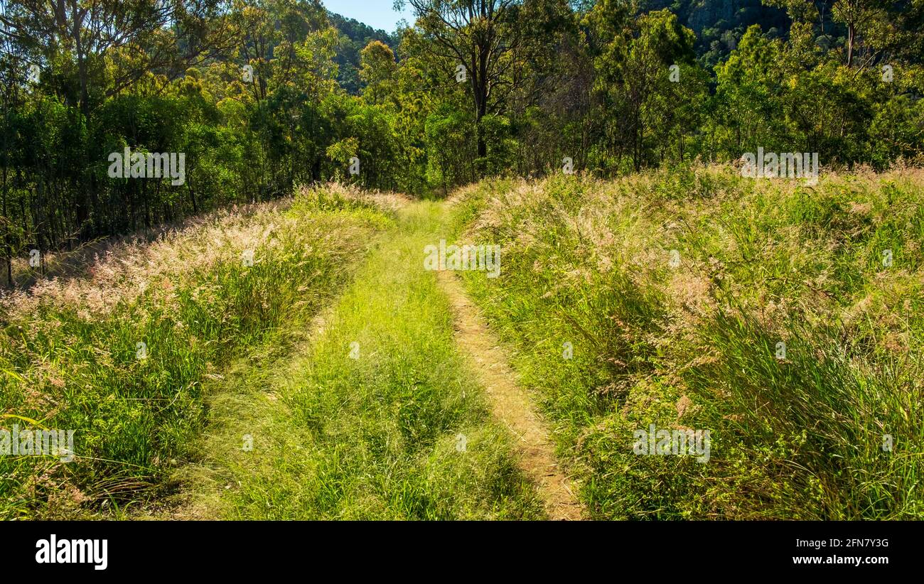 Long and winding country road hi-res stock photography and images - Alamy