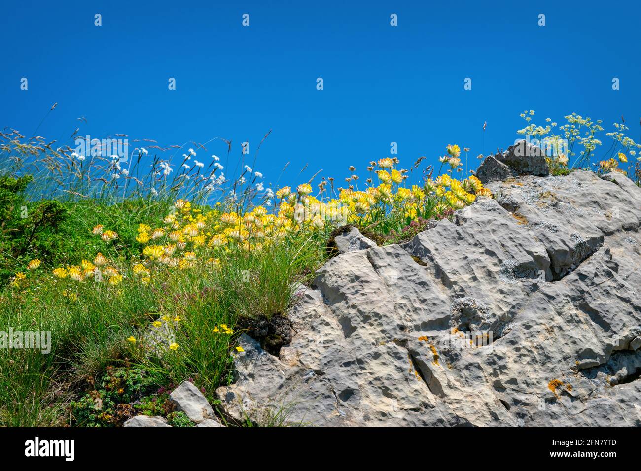 Beautiful mountain view from the path from Beklemeto to Kozya Stena ...